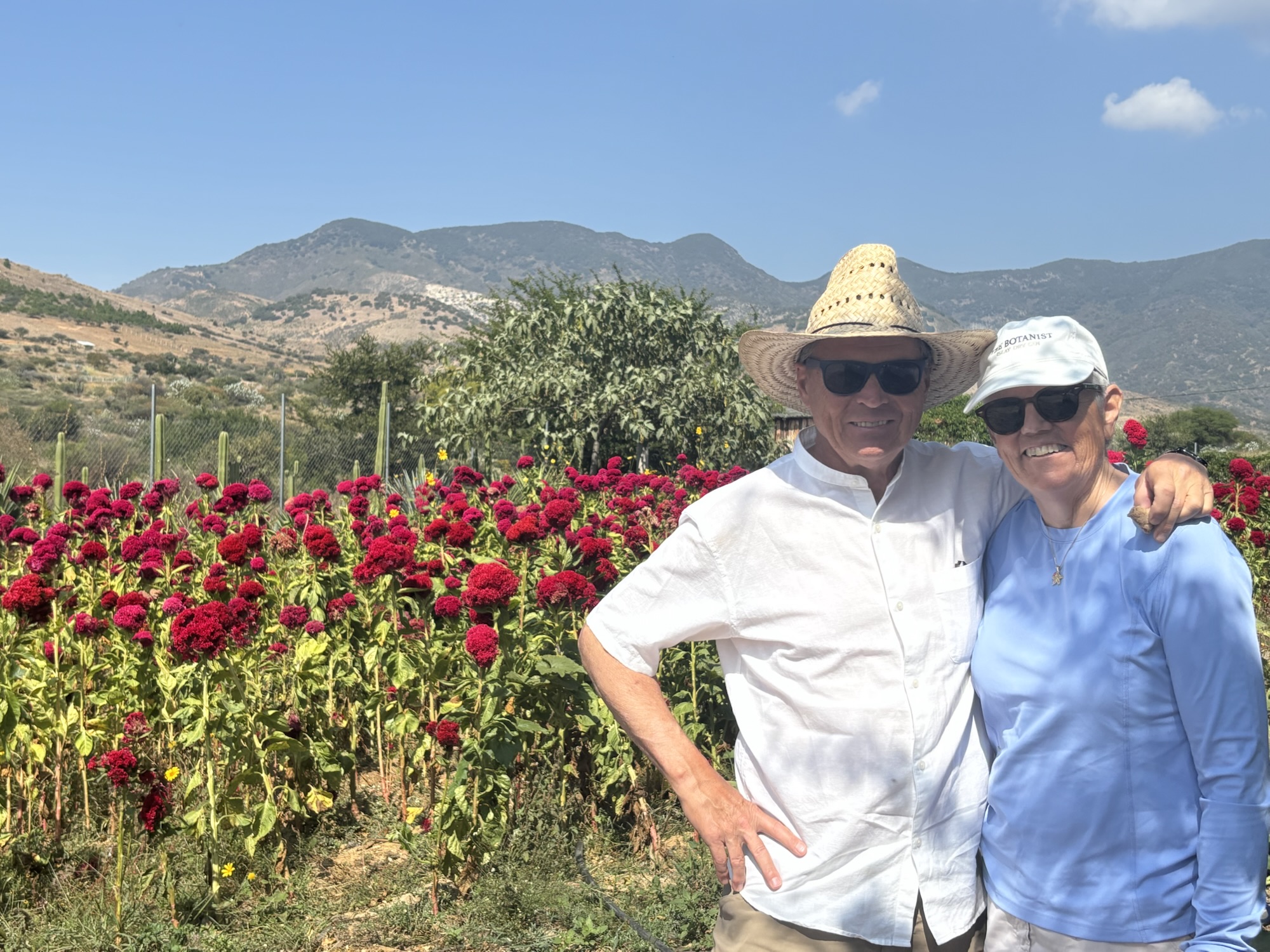 Mezcal Farm & Tasting – Camino Venture